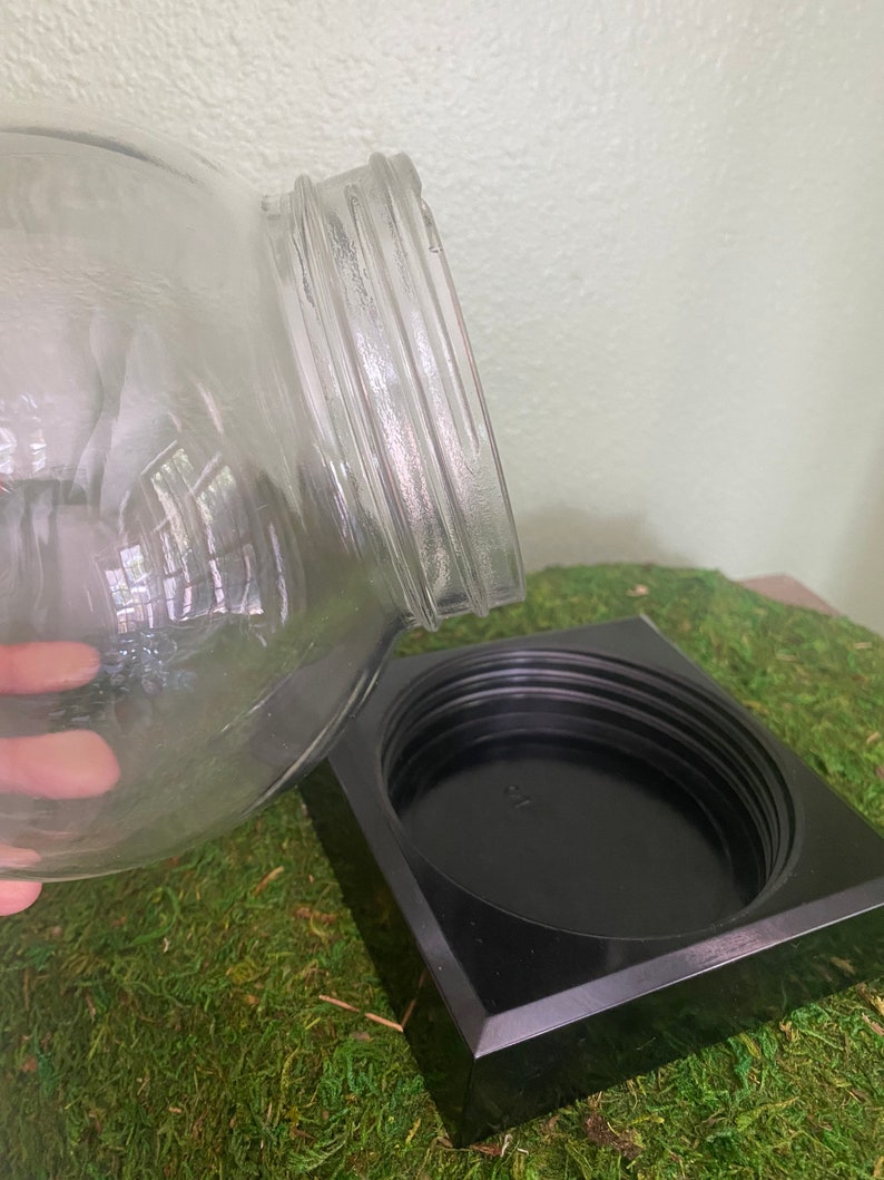 Lewis P Weil Glass Globe Terrarium Flower Display Circa 1950 - Etsy