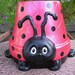 Ladybug Lovers Garden Planter - Etsy