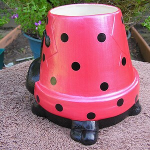 Ladybug Lovers Garden Planter - Etsy