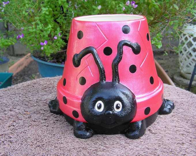 Ladybug Lovers Garden Planter - Etsy