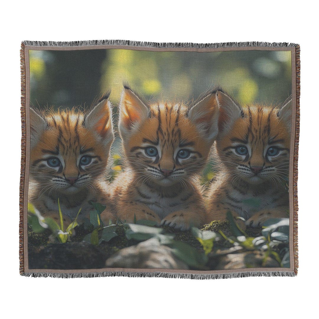 Three Baby Bobcat Cubs Sitting in Forest Greenery Wildlife Cozy Woven ...