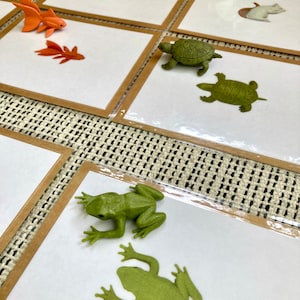 Exact Matching Language Objects and Digital PDF Cards - Pets ...