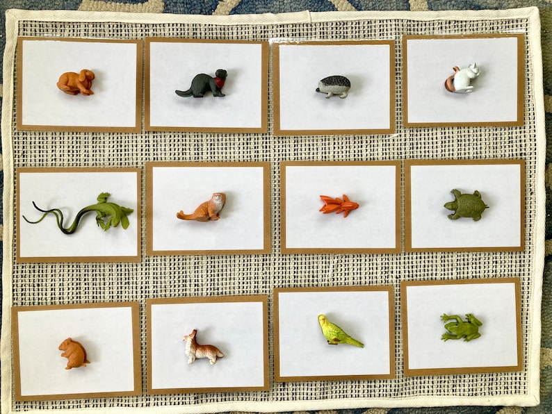 Exact Matching Language Objects and Digital PDF Cards - Pets ...