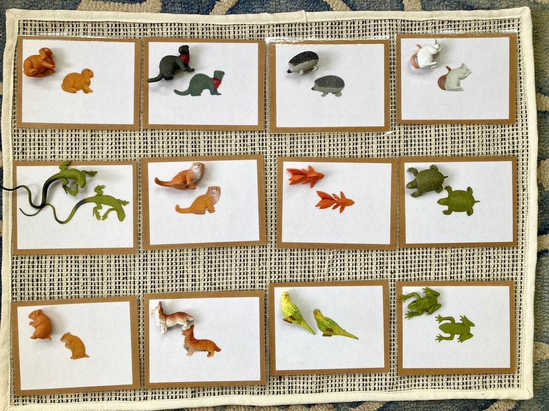 Exact Matching Language Objects and Digital PDF Cards - Pets ...