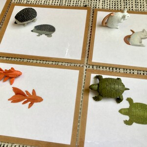 Exact Matching Language Objects and Digital PDF Cards - Pets ...