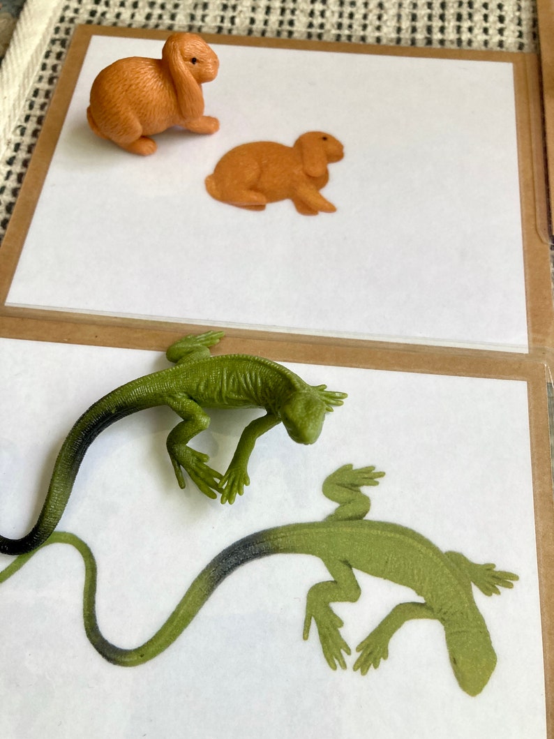 Exact Matching Language Objects and Digital PDF Cards - Pets ...