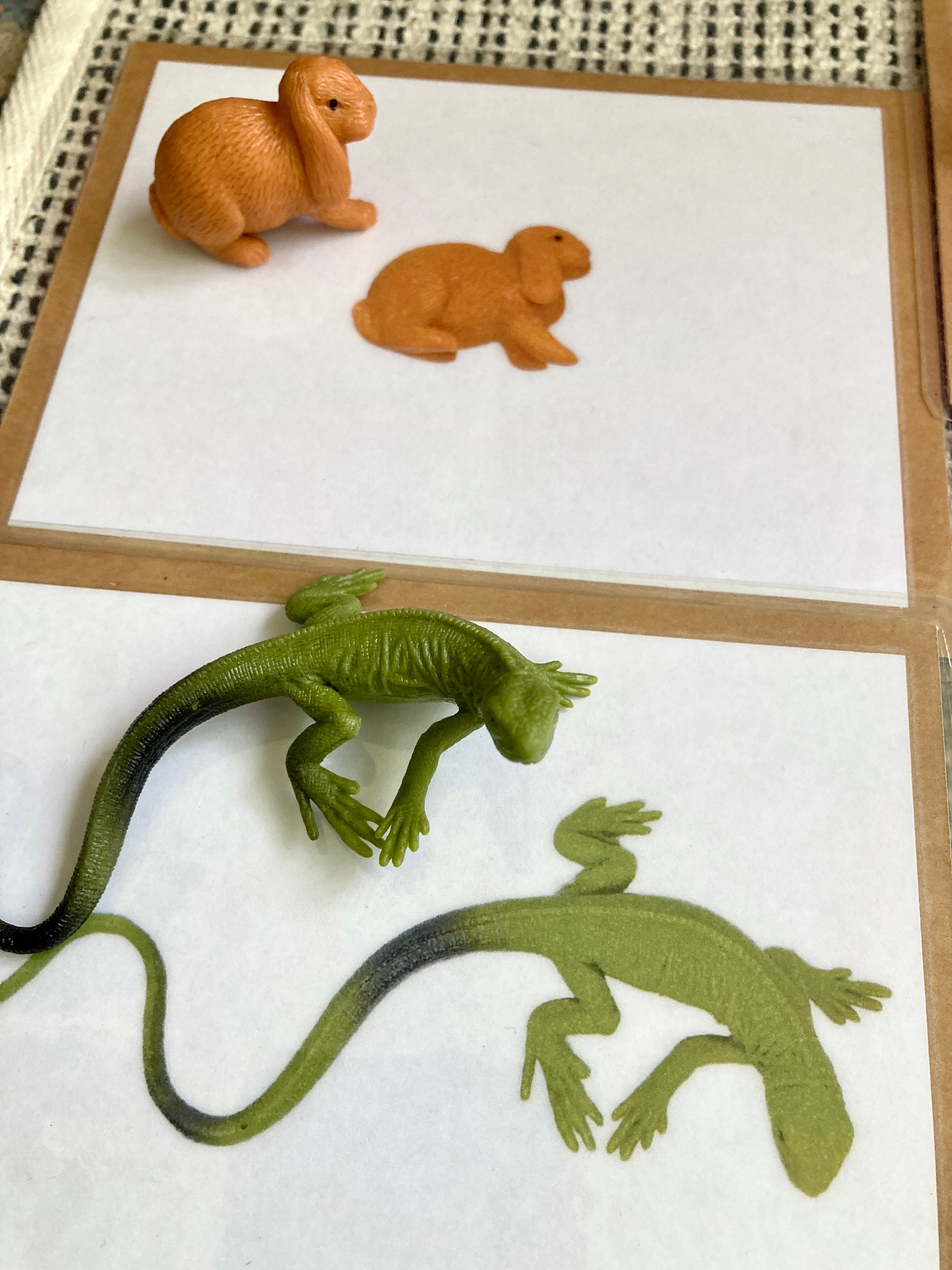 Exact Matching Language Objects and Digital PDF Cards - Pets ...