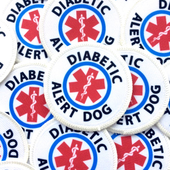 Can You Get A Service Dog For Type 2 Diabetes