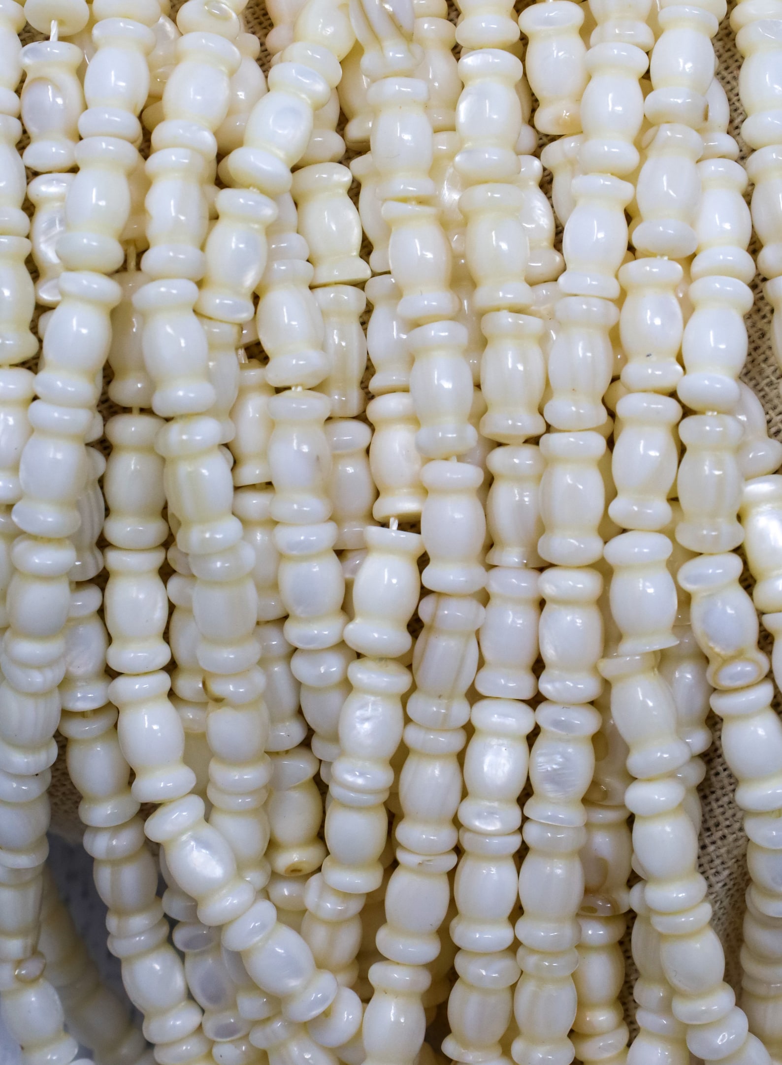 Shaped Shell Tube Beads, Natural Shell Beads, Shell Spacer Beads, Qty ...