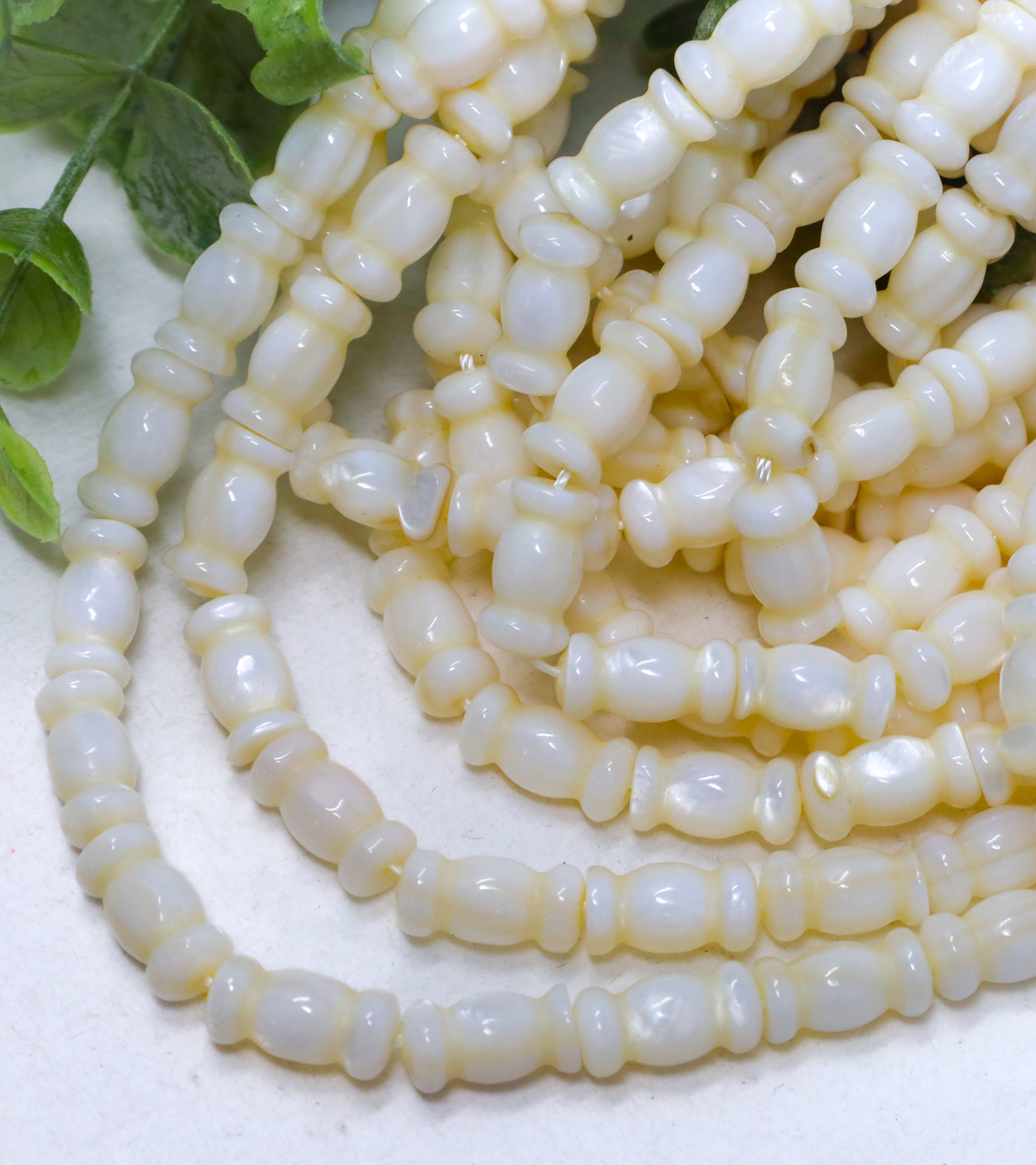 Shaped Shell Tube Beads, Natural Shell Beads, Shell Spacer Beads, Qty ...