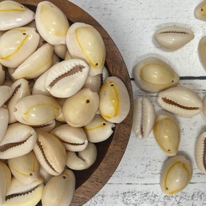 Natural Cowrie Shells, Drilled Shell Beads, Soft White With Yellow ...