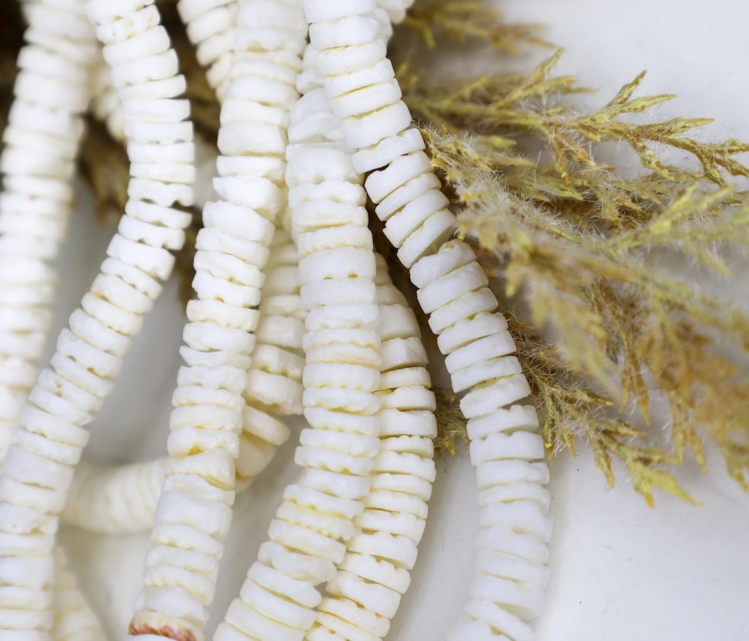 Natural Sea Shell Beads, Real Shell, Organic Jewelry Making Supplies ...