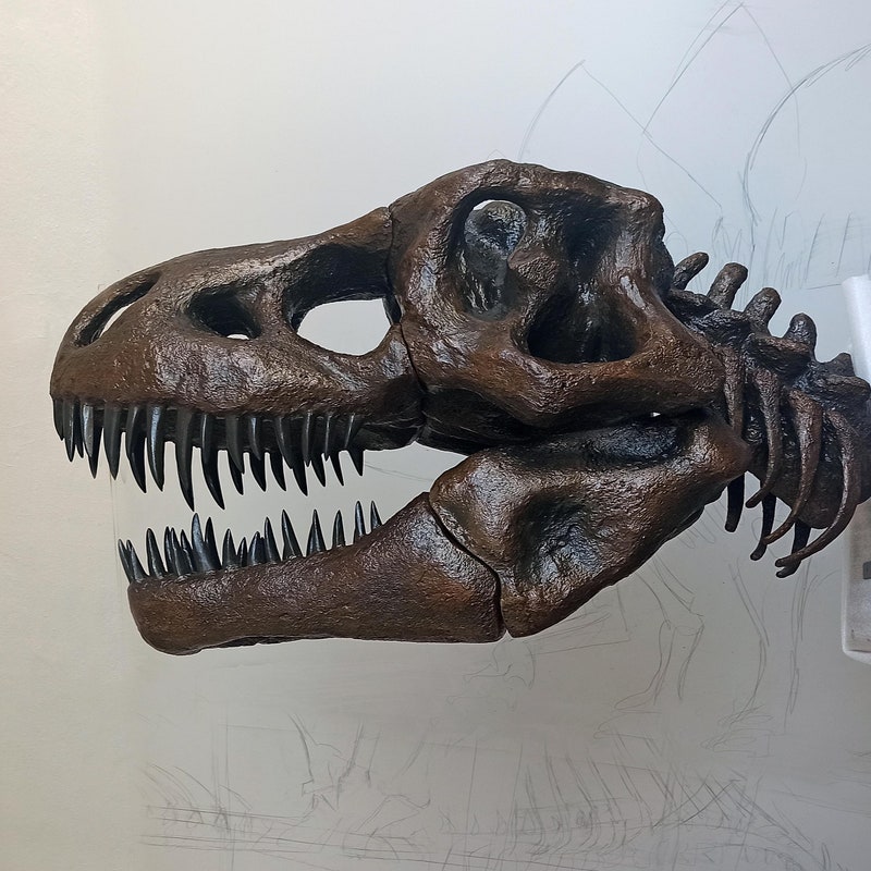 Life Size Trex Skull Replica - Etsy