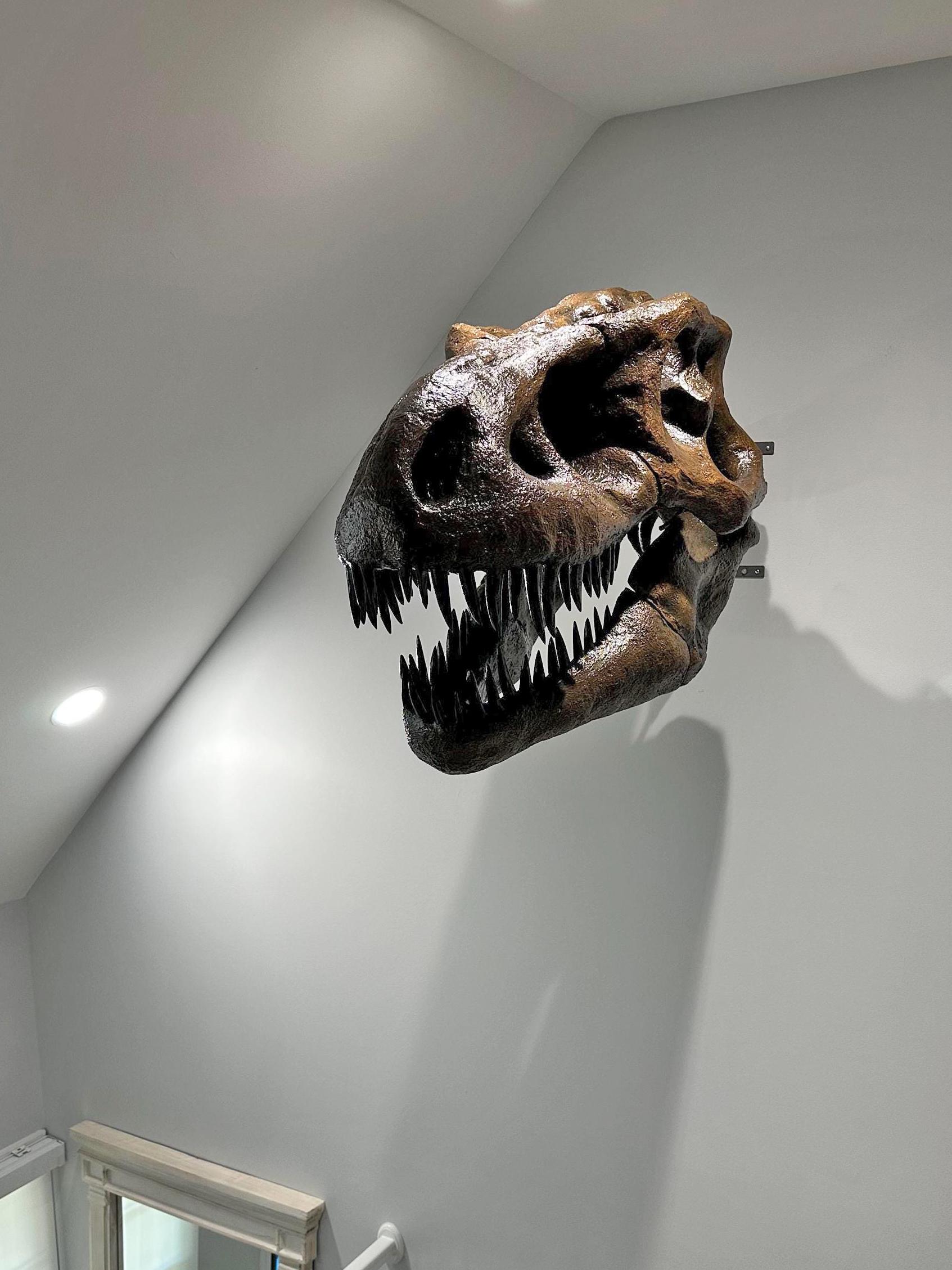 5 FT Long Tyrannosaurus Rex Skull Fossil Replica • Large Wall-mounted T ...