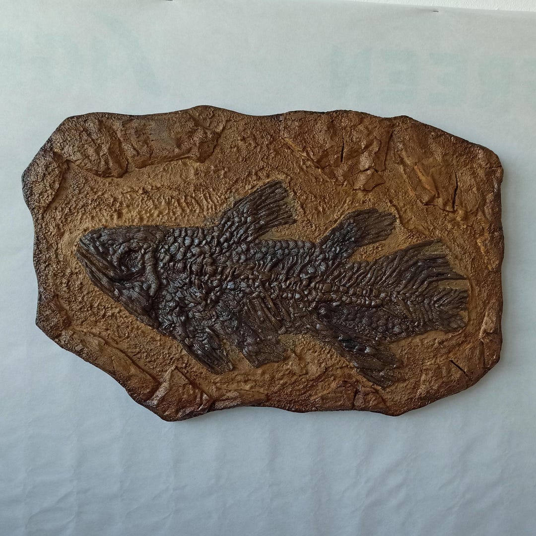 Coelacanth Fossil Skeleton — Ancient Fish Replica With Closed Jaw ...