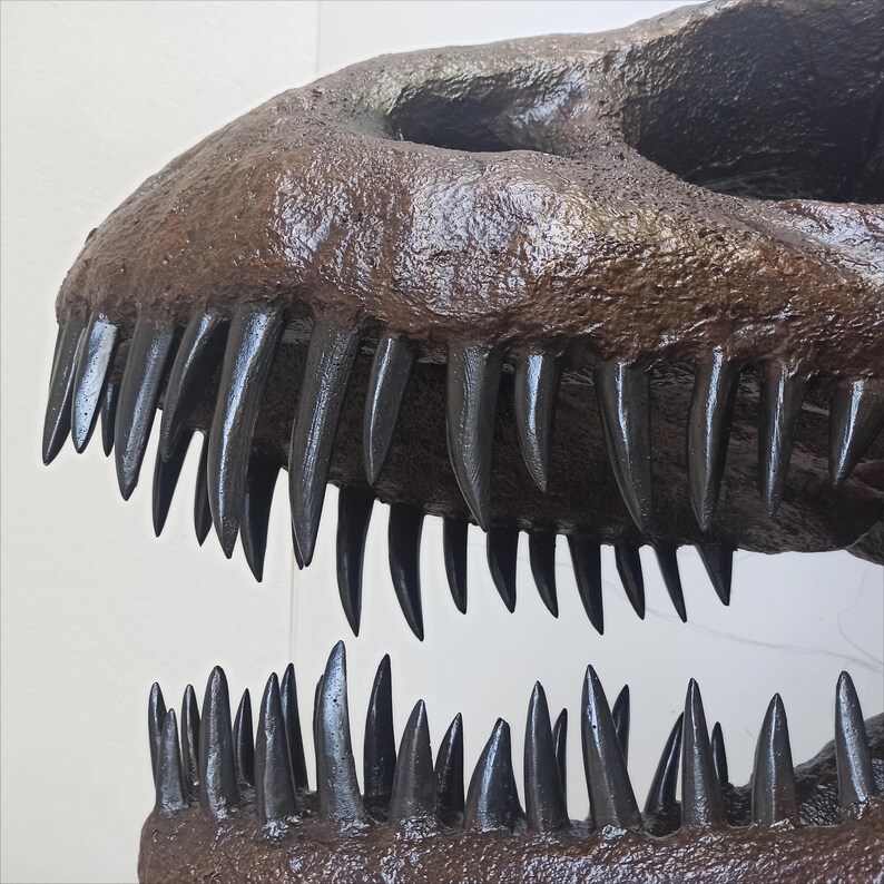 5 FT Long Tyrannosaurus Rex Skull Fossil Replica • Large Wall-mounted T ...