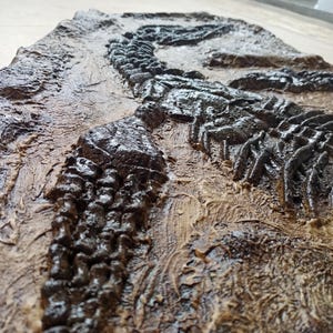 Mauriciosaurus Fossil Skeleton Replica: Giant Plesiosaur 90x80 Cm ...