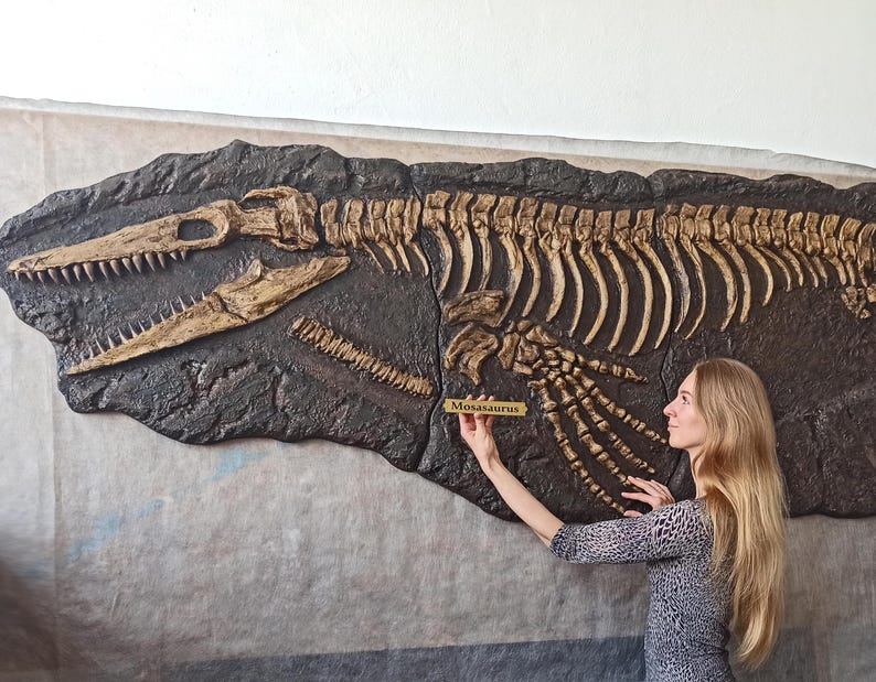 15 FT Long Mosasaurus Full Skeleton Fossil - Lifesize Mosasaur Replica ...