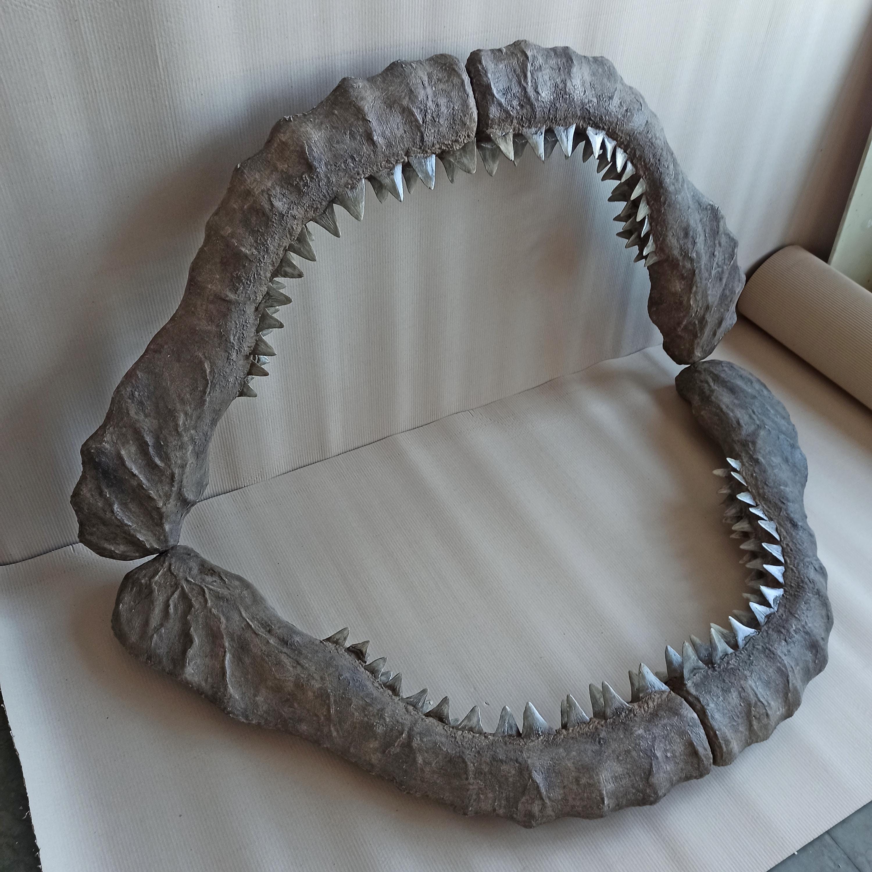 5.8 FT Life-size Megalodon Shark Jaw Replica – 3 Rows of Teeth, Museum ...