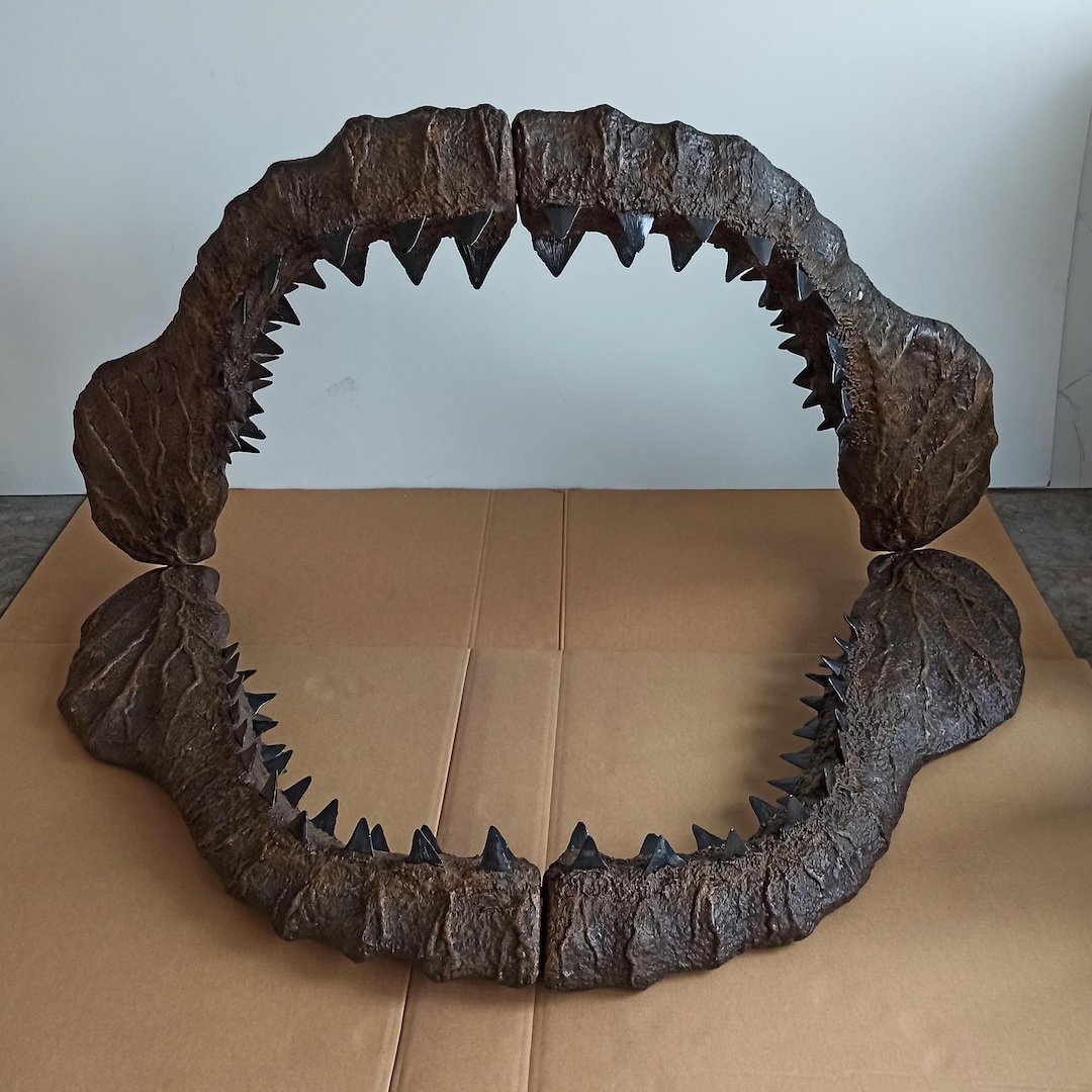 5.8 FT Megalodon Shark Jaw Replica: Stunning Giant Carcharodon – 3 Rows ...