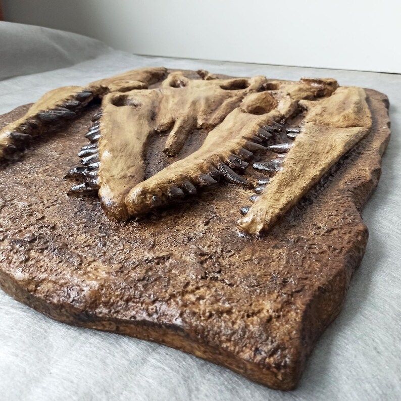 Halisaurus Mosasaur Skull Fossil Replica: Museum-quality Wall Decor for ...