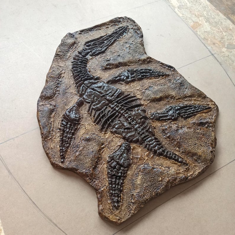 Mauriciosaurus Fossil Skeleton Replica: Giant Plesiosaur 90x80 Cm ...