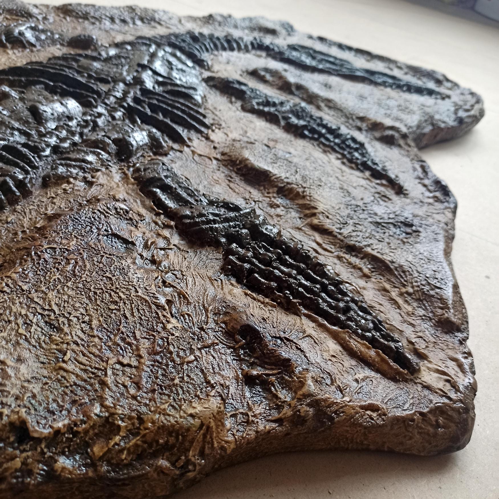 Mauriciosaurus Fossil Skeleton Replica: Giant Plesiosaur 90x80 Cm ...