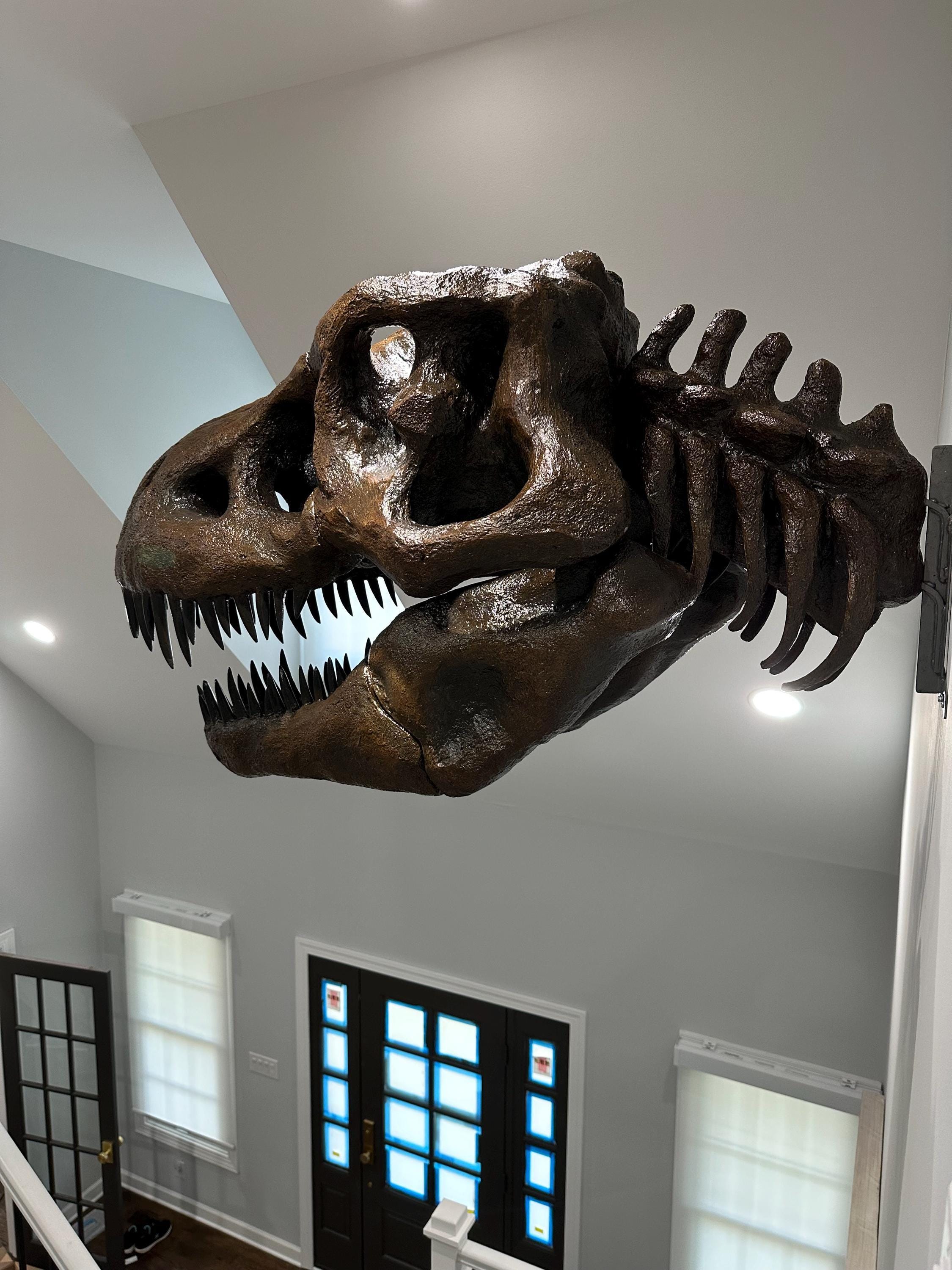 5 FT Long Tyrannosaurus Rex Skull Fossil Replica • Large Wall-mounted T ...