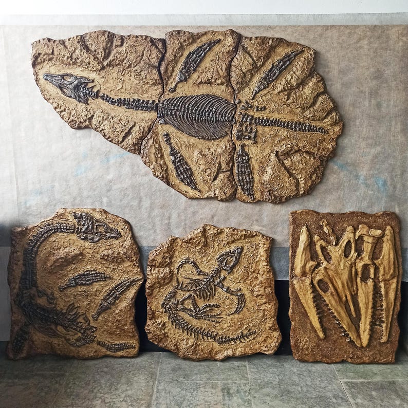 Giant Plesiosaur Fossil Replica • Life-size Prehistoric Marine Reptile ...