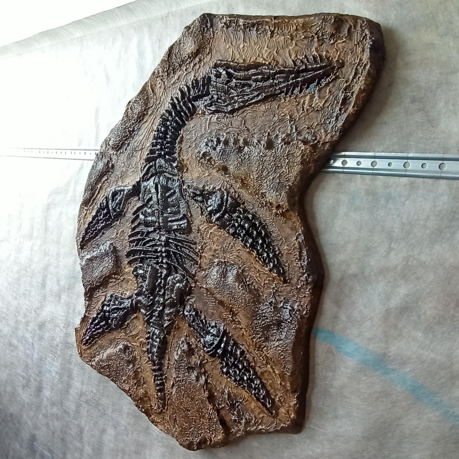 Mauriciosaurus Fossil Skeleton Replica: Giant Plesiosaur 90x80 Cm ...