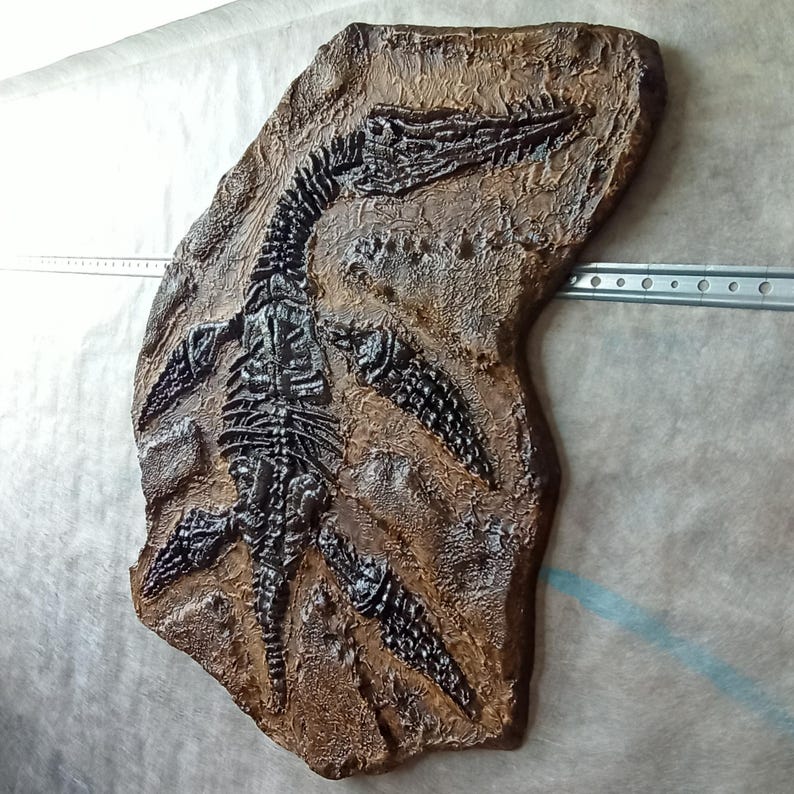 Mauriciosaurus Fossil Skeleton Replica: Giant Plesiosaur 90x80 Cm ...
