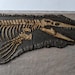 15 FT Long Mosasaurus Full Skeleton Fossil - Lifesize Mosasaur Replica ...