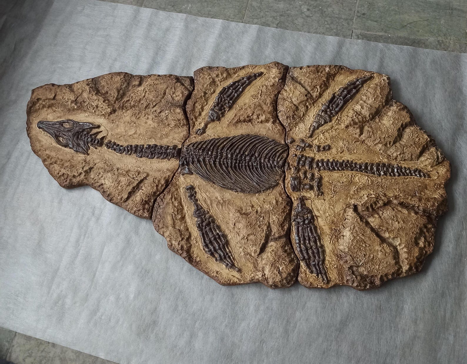 Giant Plesiosaur Fossil Replica • Life-size Prehistoric Marine Reptile ...