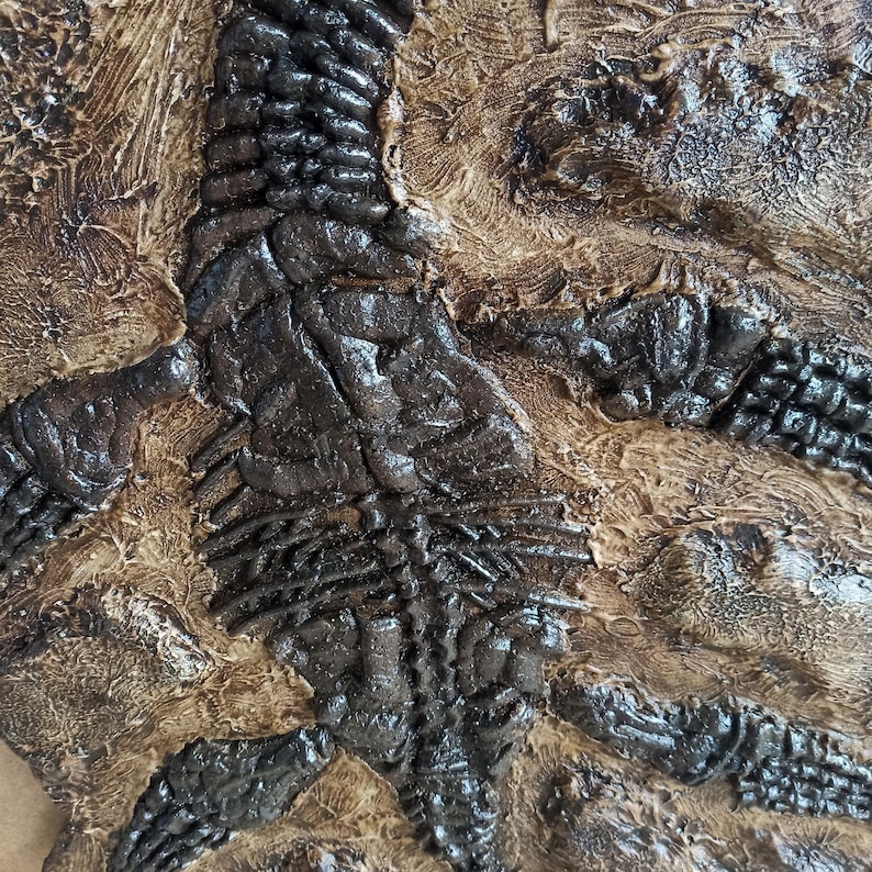 Mauriciosaurus Fossil Skeleton Replica: Giant Plesiosaur 90x80 Cm ...