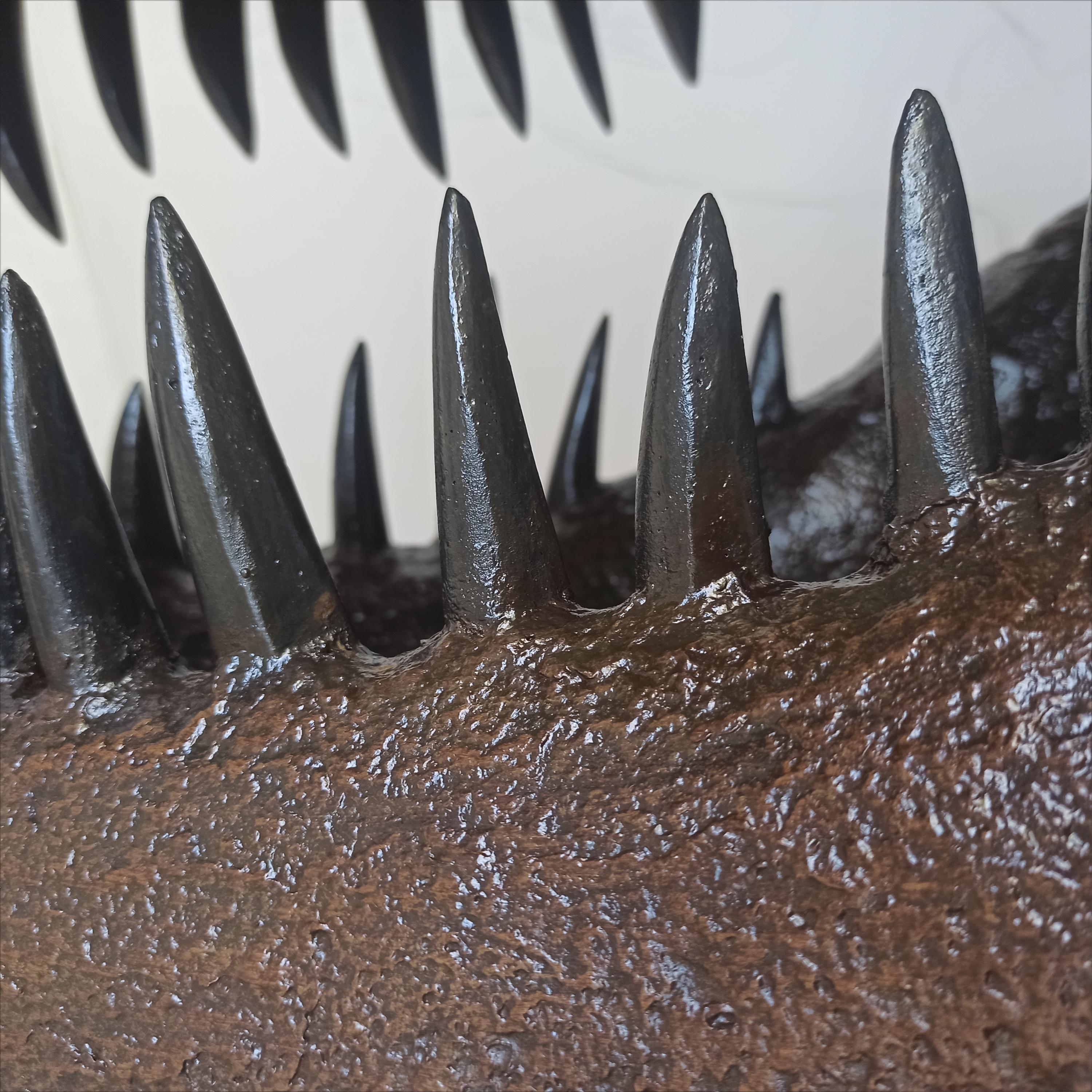 5 FT Long Tyrannosaurus Rex Skull Fossil Replica • Large Wall-mounted T ...