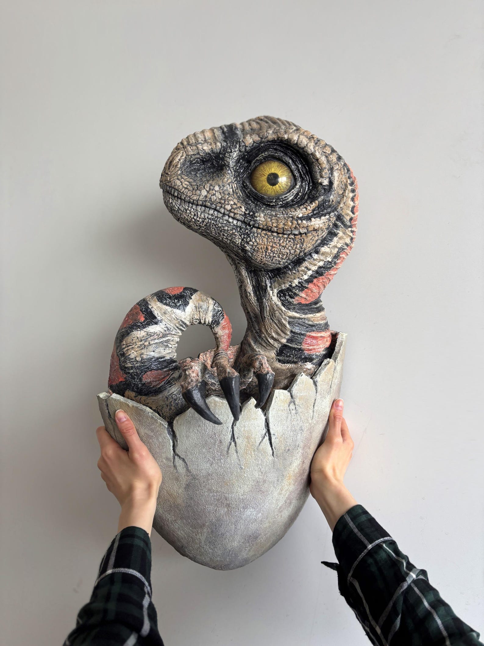 Life Size Velociraptor Bust - Prehistoric Dino in Egg Wall Art ...