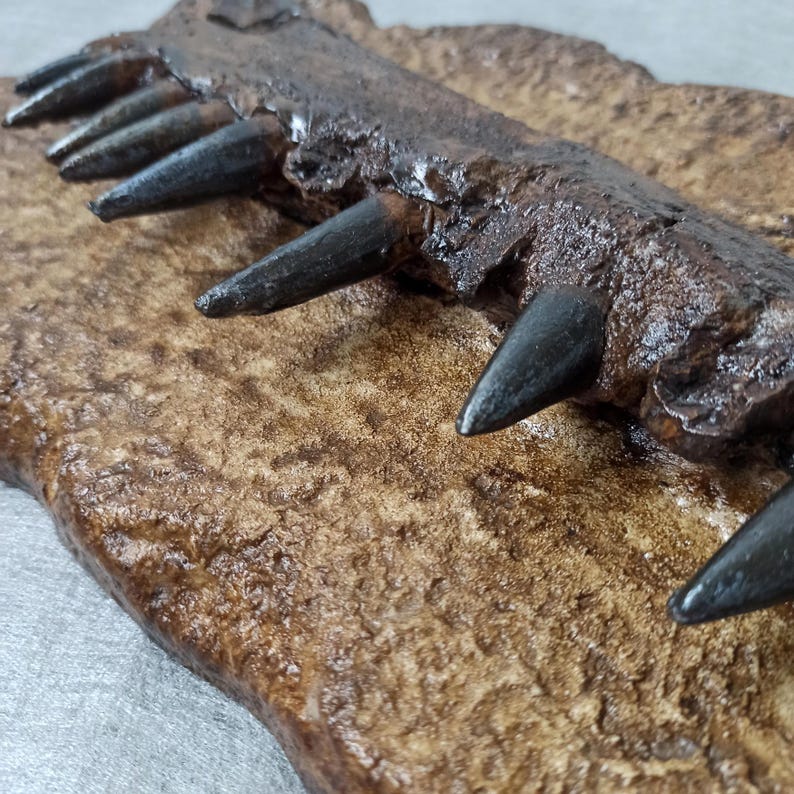 Mosasaurus Upper Jaw Fossil Replica 20x10 Inches (51x25.4 Cm): A ...