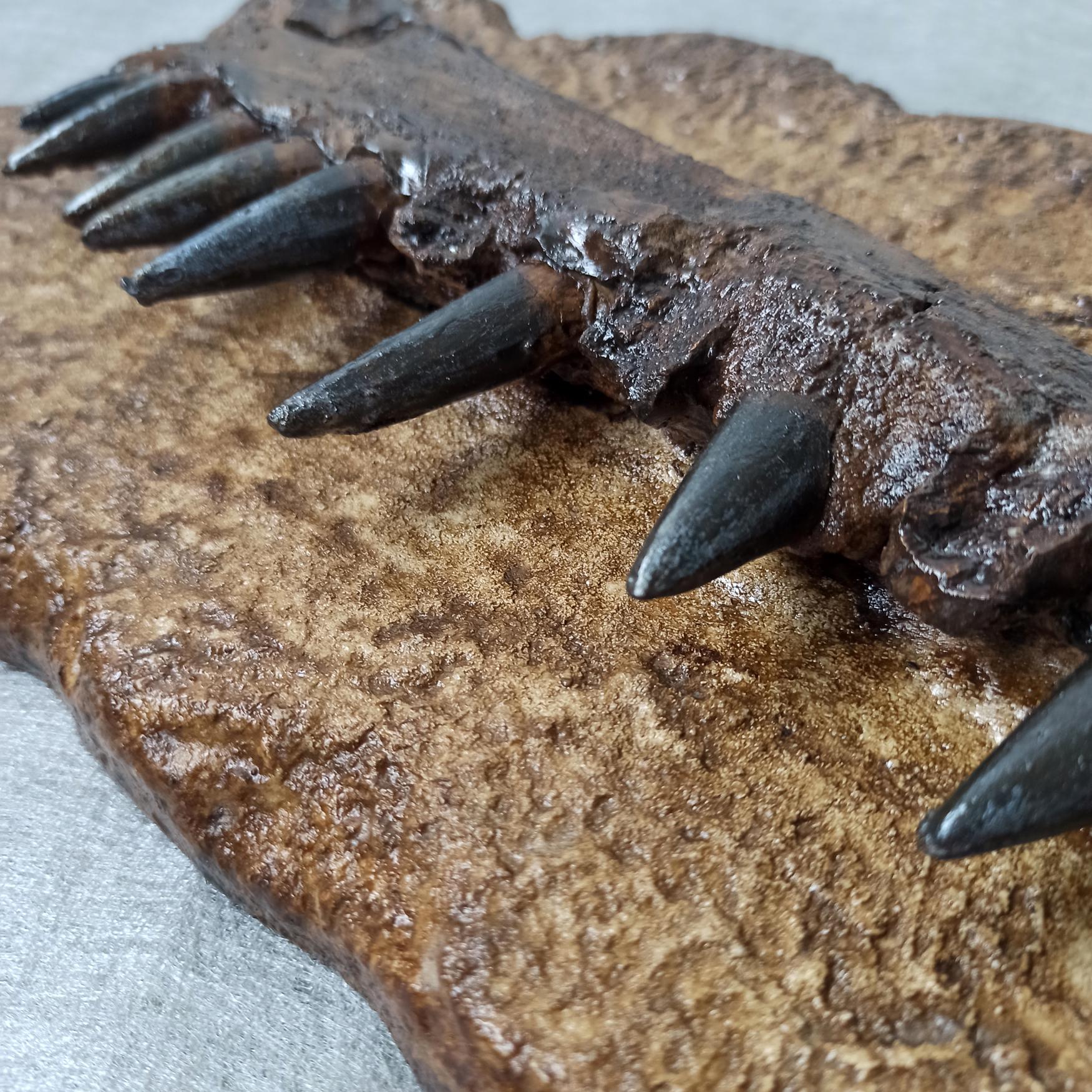 Mosasaurus Upper Jaw Fossil Replica 20x10 Inches (51x25.4 Cm): A ...