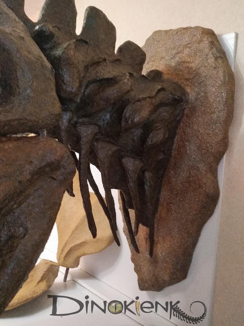 5 FT Long Tyrannosaurus Rex Skull Fossil Replica • Large Wall-mounted T ...