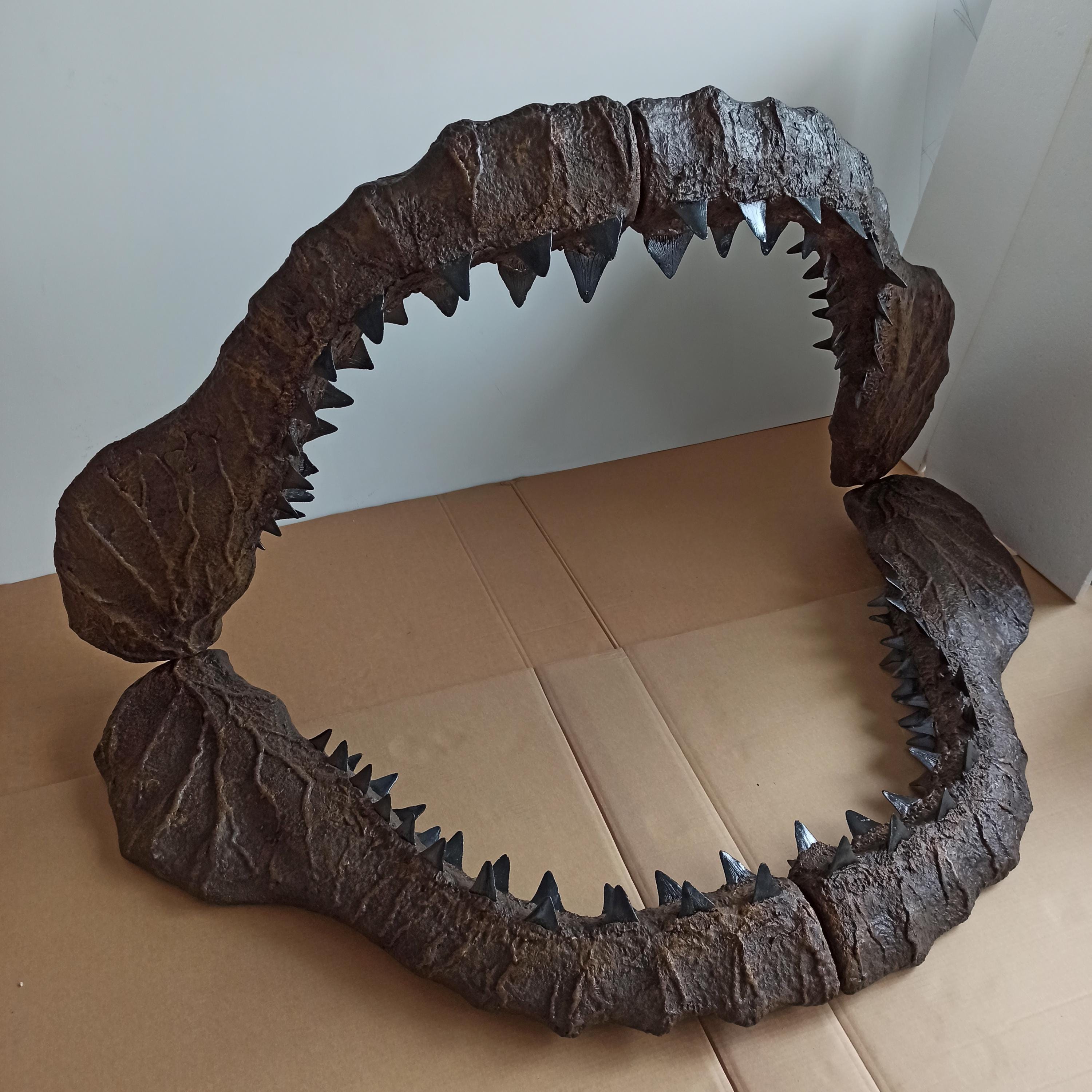 5.8 FT Megalodon Shark Jaw Replica: Stunning Giant Carcharodon – 3 Rows ...