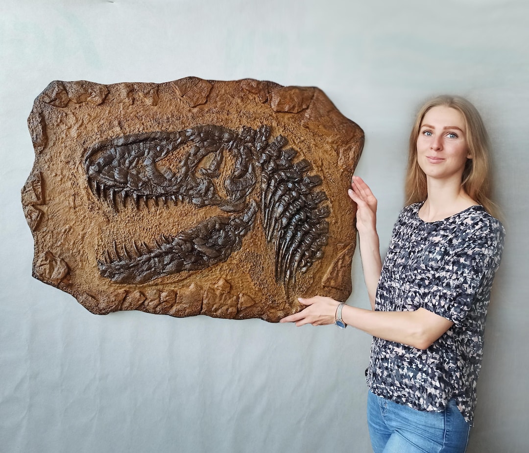 Life-size Tyrannosaurus Rex Skull Fossil Replica • Large Wall-mounted T ...