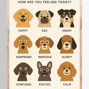 Dog Emotion Posters: Feelings Chart for Kids, Classrooms (printable PDF ...