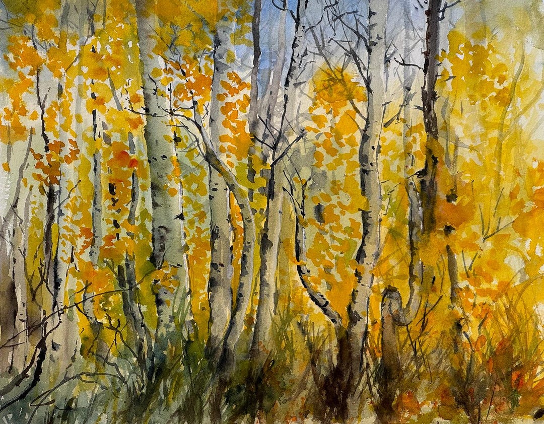 Aspen Colors - Etsy