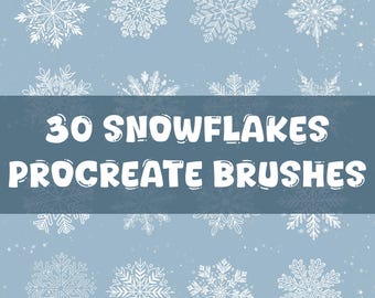 30 Unique Designed Snowflake Stamps - Procreate Brush Set - Etsy