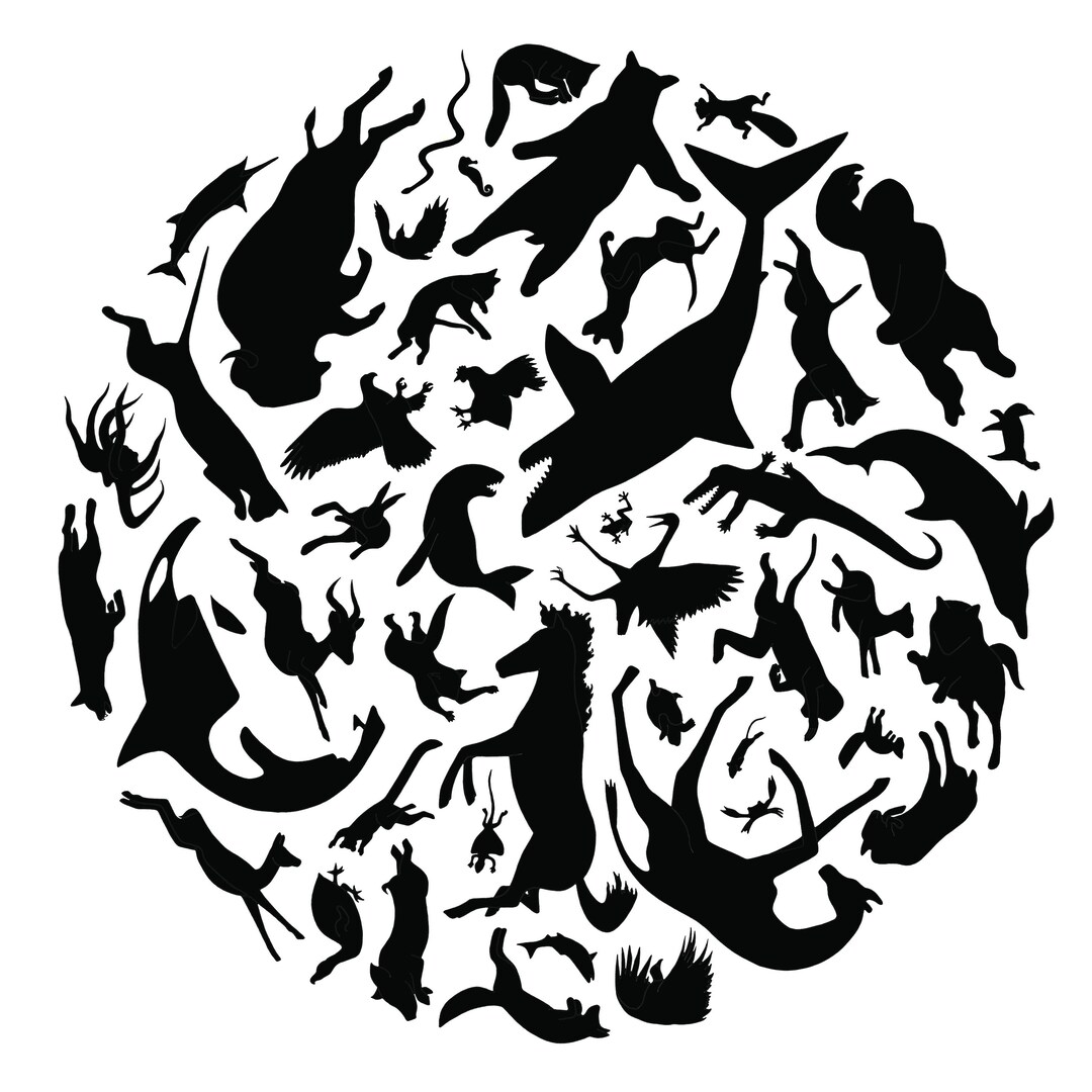 Divided We Fall, 11"x17" Art Print by Thailan When - Etsy