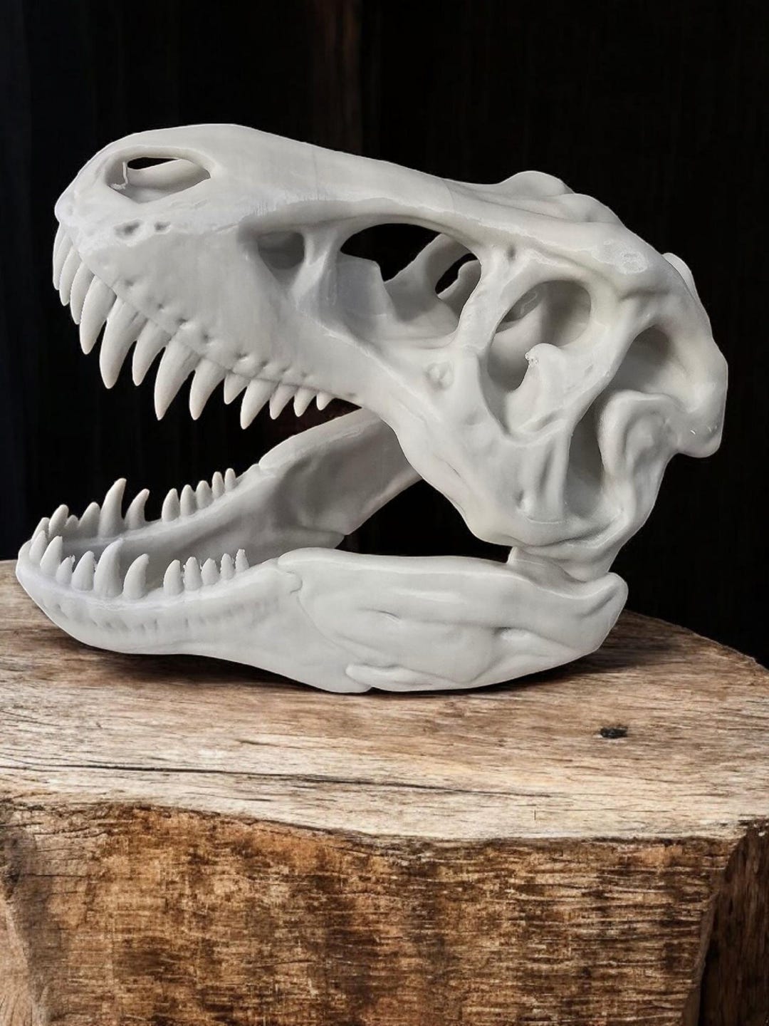 3D Printed T-rex Dinosaur Skull Fossil Home Decoration - Etsy