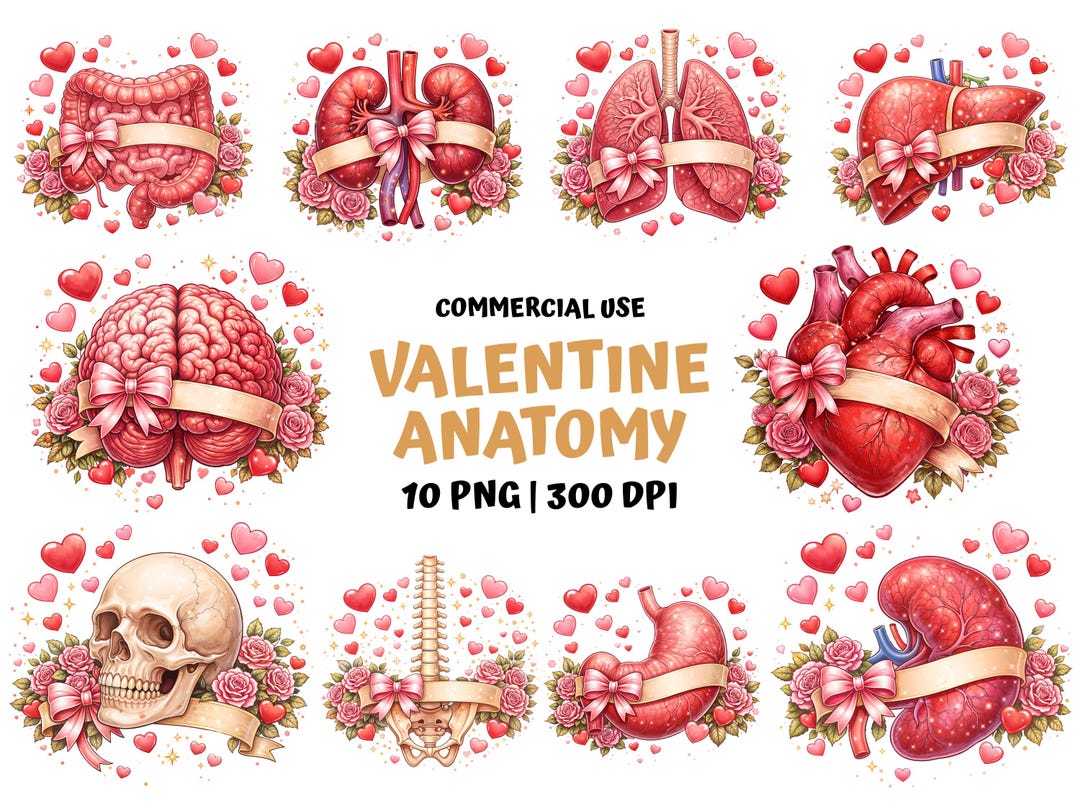 Anatomy Clipart Bundle: 10 PNG Medical Illustrations for Valentine's ...