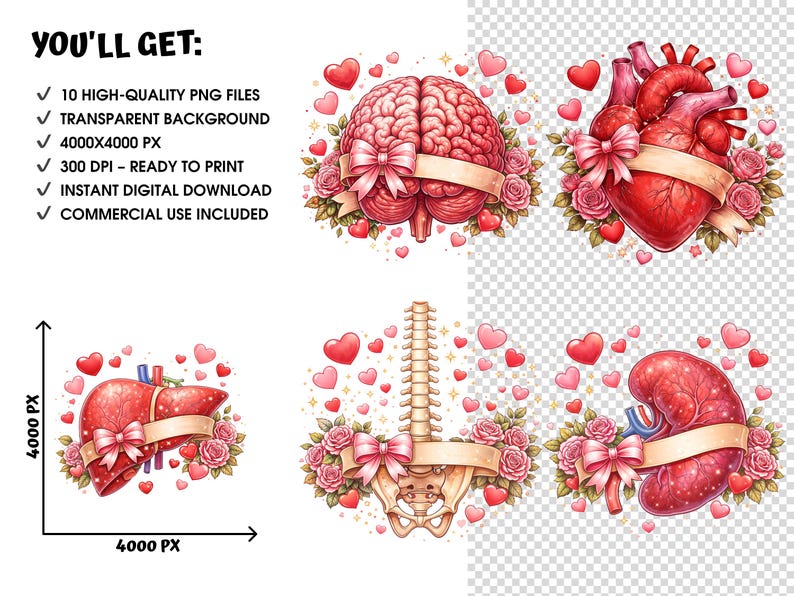 Anatomy Clipart Bundle: 10 PNG Medical Illustrations for Valentine's ...