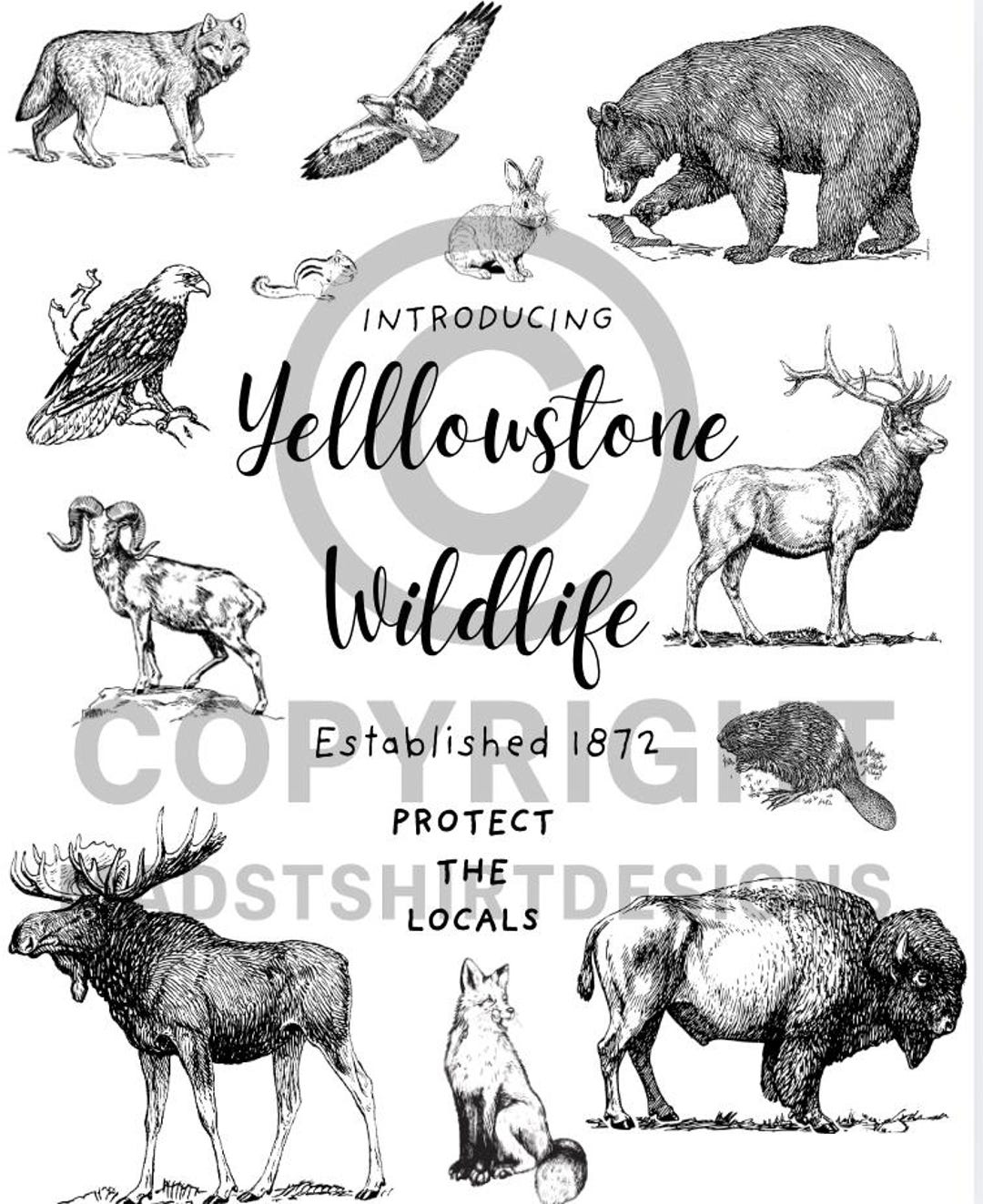 Yellowstone Wildlife SVG | National Park Animals | Protect the Locals ...