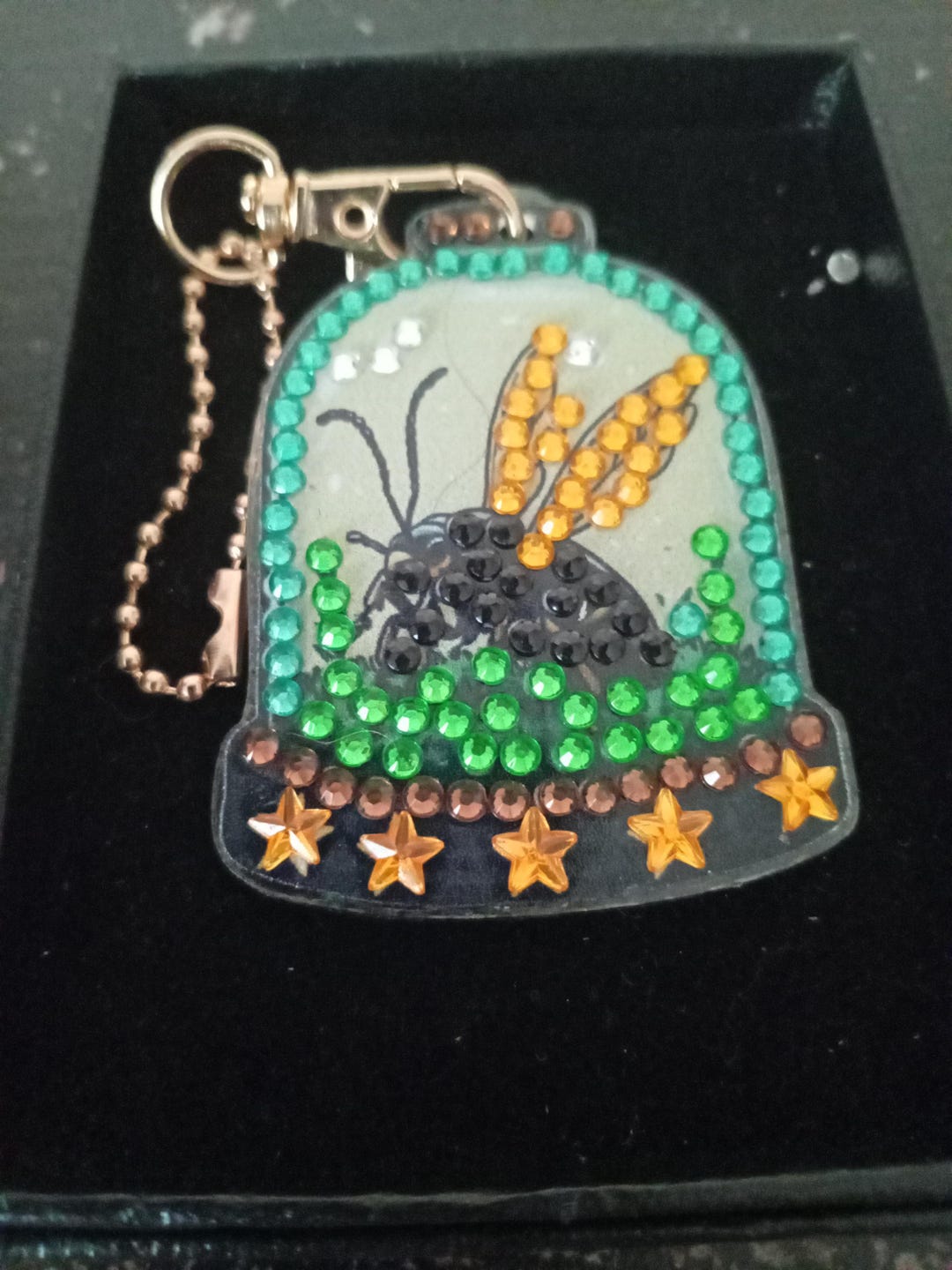 Gothic Fly in a Jar Diamond Painting Keychain - Etsy